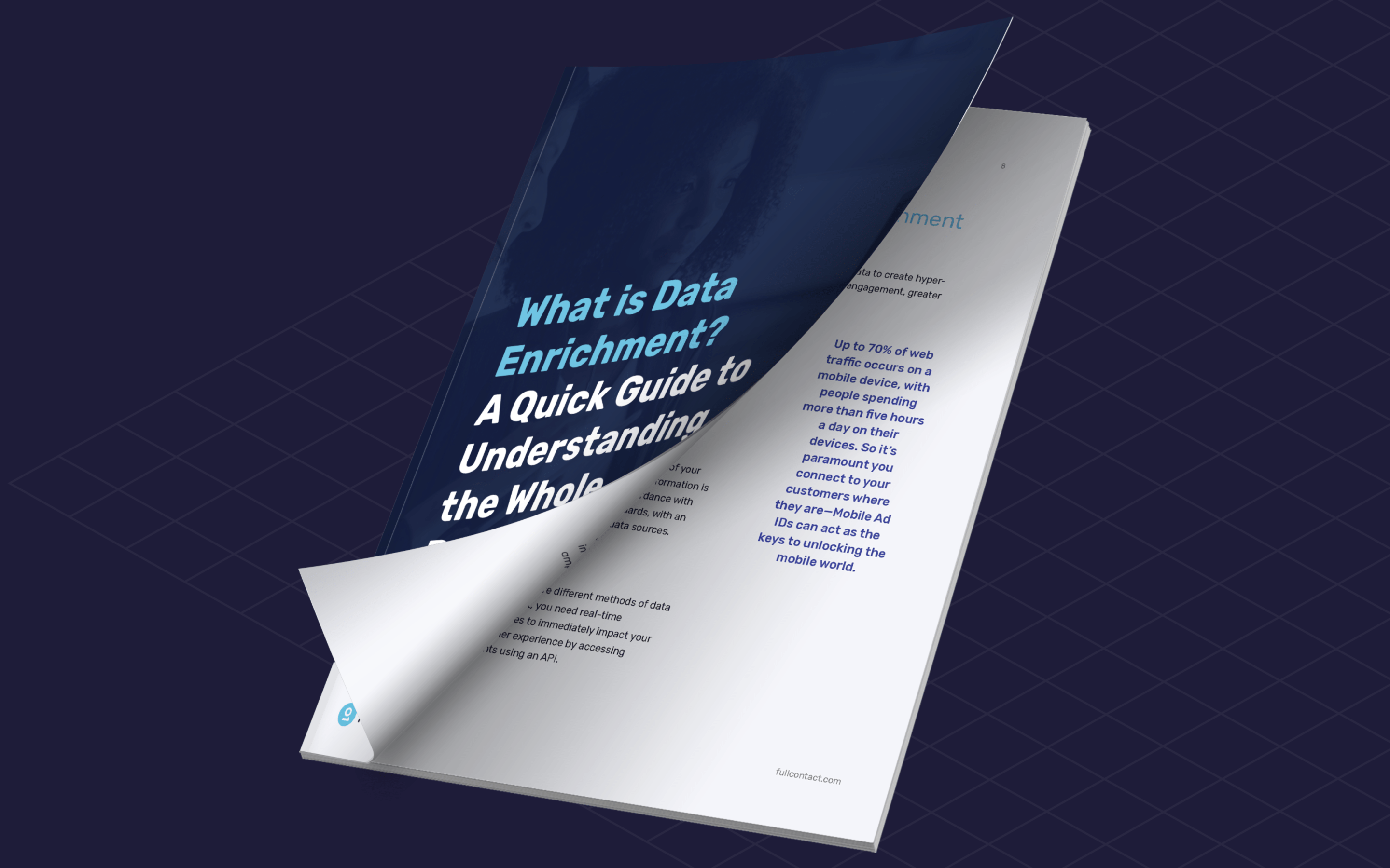 What is Data Enrichment? A Quick Guide to Understanding the Whole ...