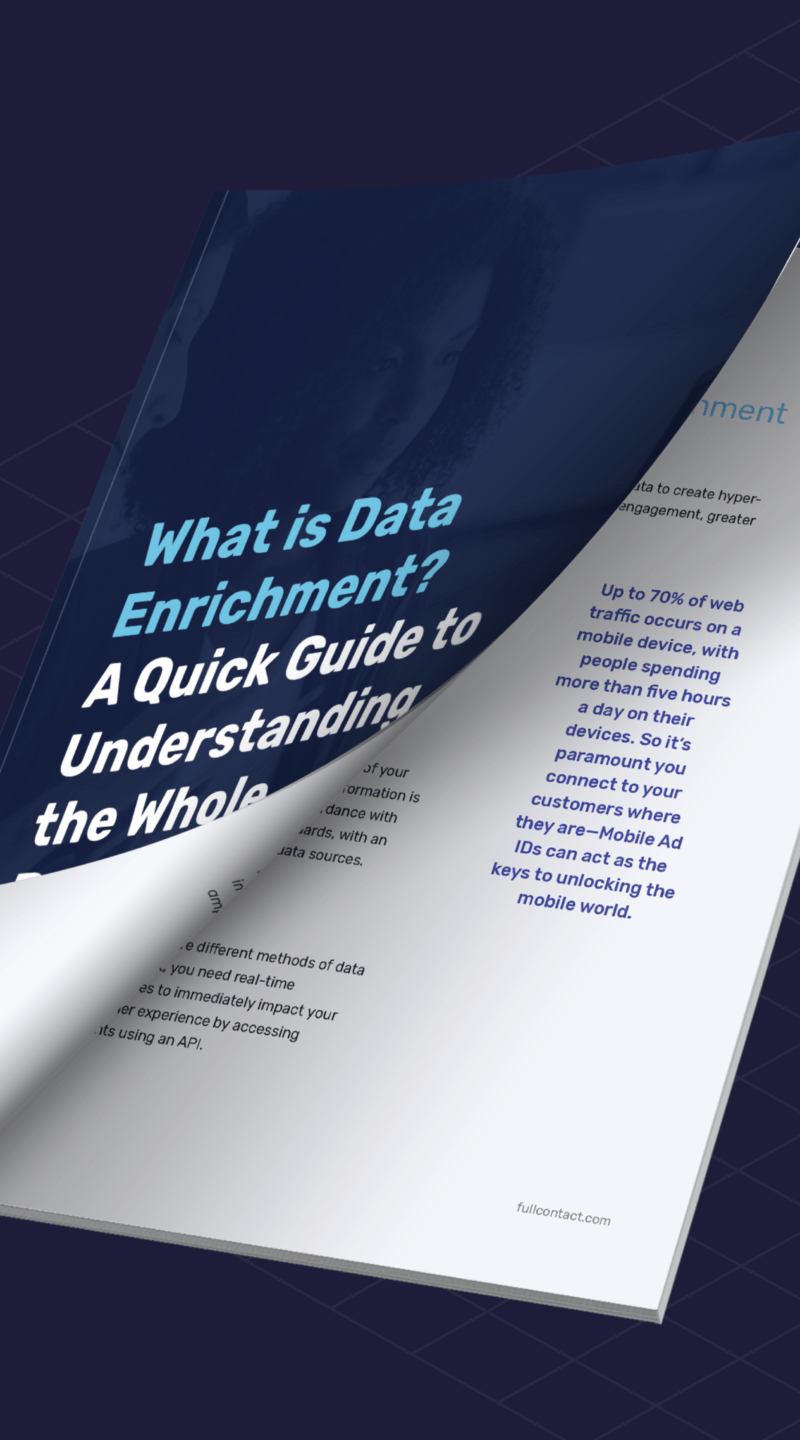 What is Data Enrichment? A Quick Guide to Understanding the Whole ...